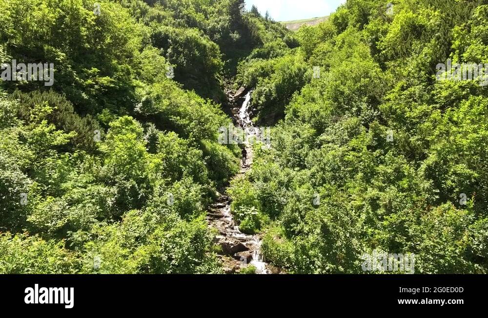 Forest landscape with a beautiful waterfall on a mountain river creek ...