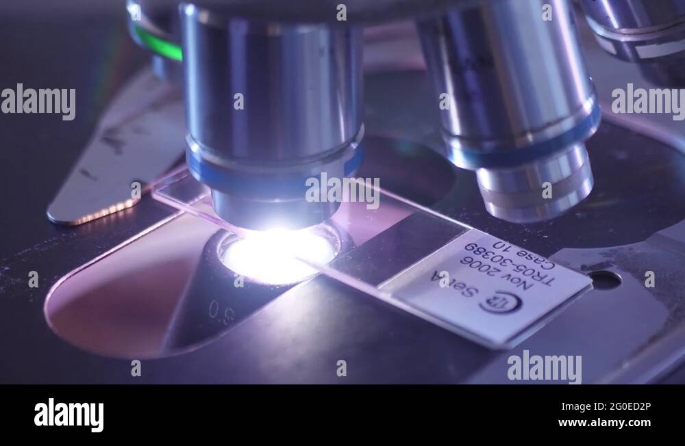 sample in glass slide undergoes microscopic testing in lab 4k Stock ...