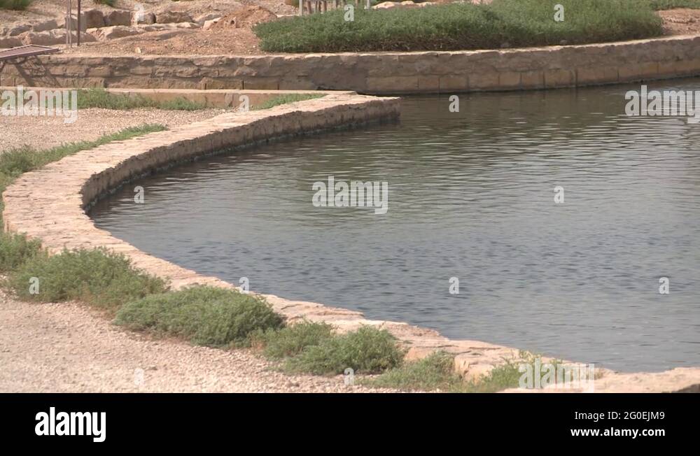 Wadi Hanifa Wetlands in Riyadh KSA (4 Stock Video Footage - Alamy
