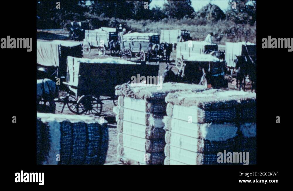 Cotton town Stock Videos & Footage - HD and 4K Video Clips - Alamy