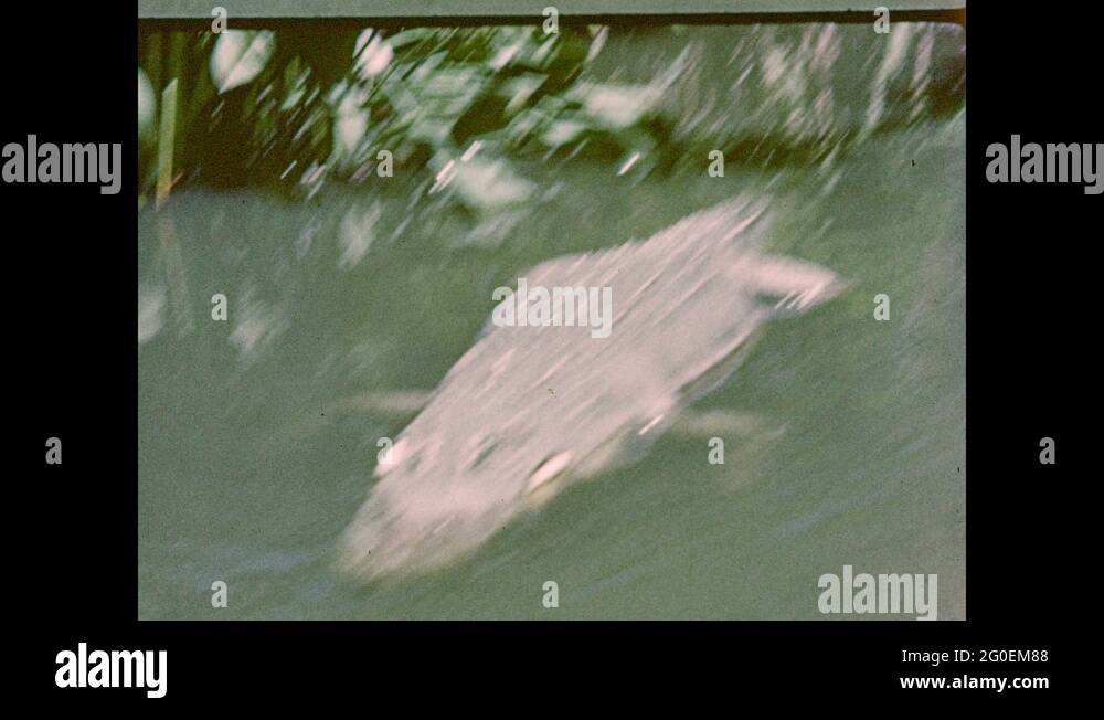 1950s: Alligator (crocodile?) animatronics swim and move in water ...
