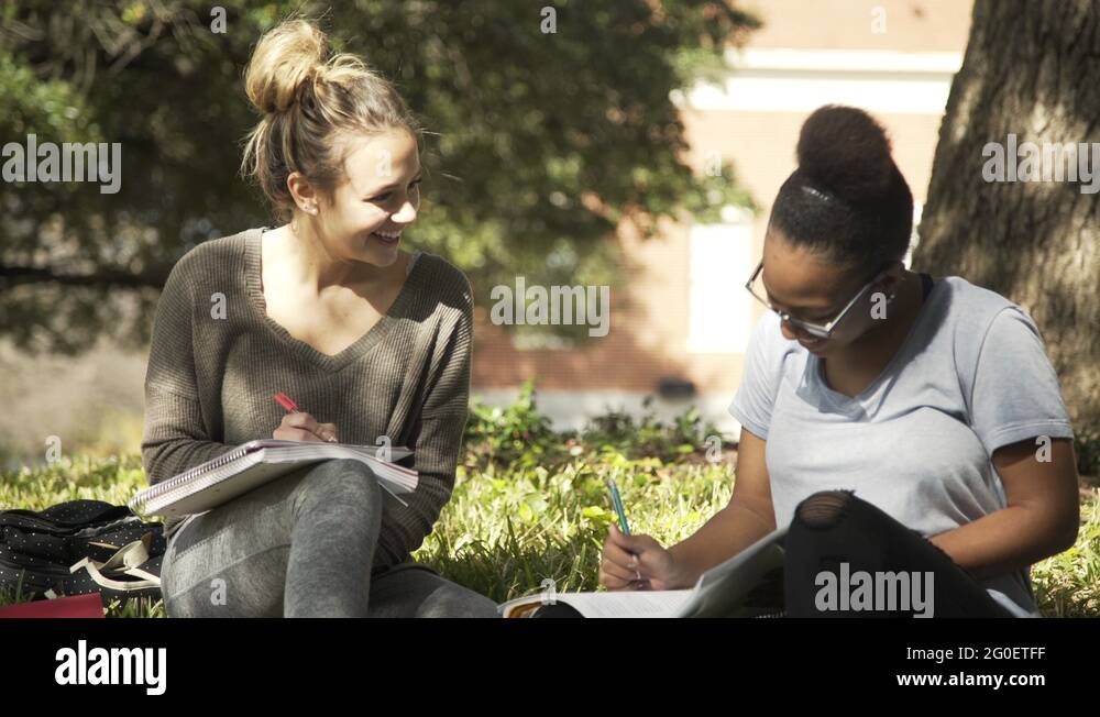 college students laughing while studying on the campus 4k Stock Video ...