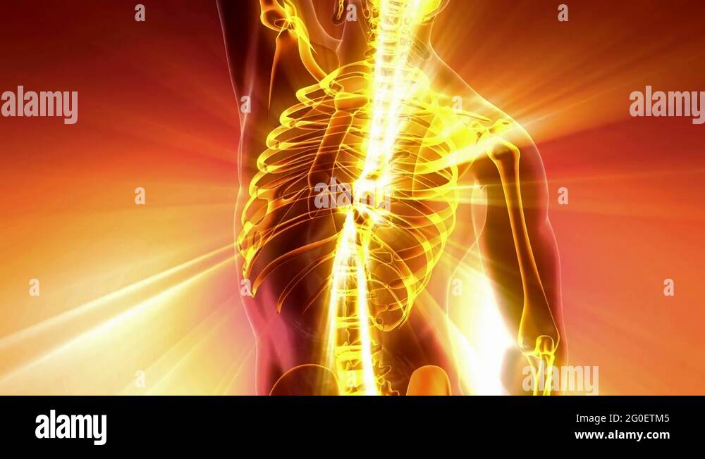 science anatomy of human body in x-ray with glow skeleton bones Stock ...