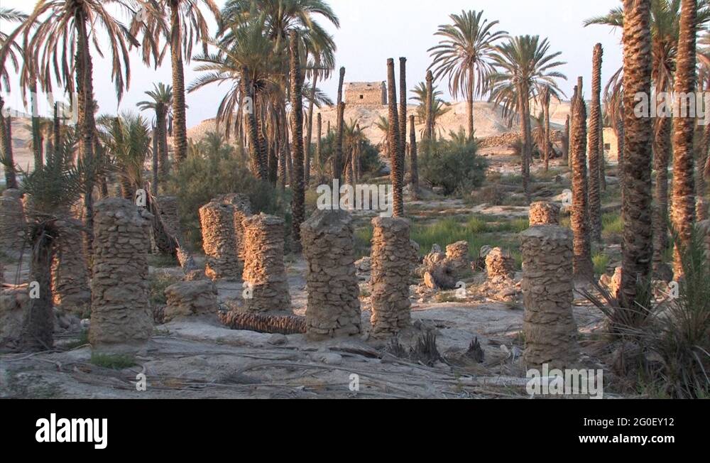 Mud structures Stock Videos & Footage - HD and 4K Video Clips - Alamy