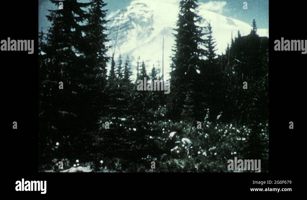 1950s: Trees in front of mountain. Illustration is labelled "ZONE of ...