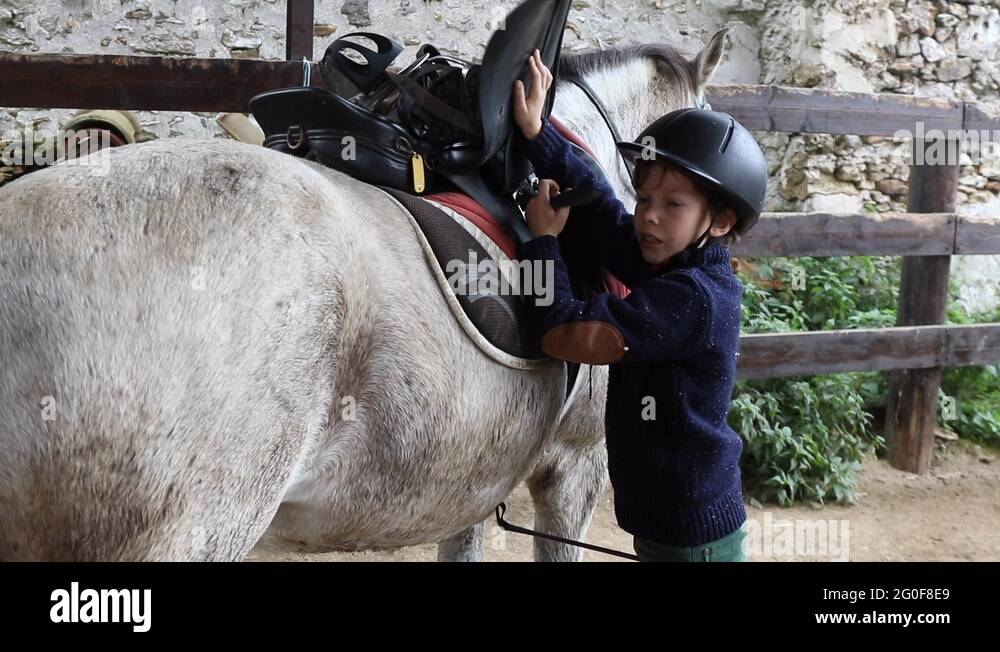 Boy child riding pony horse Stock Videos & Footage - HD and 4K Video ...