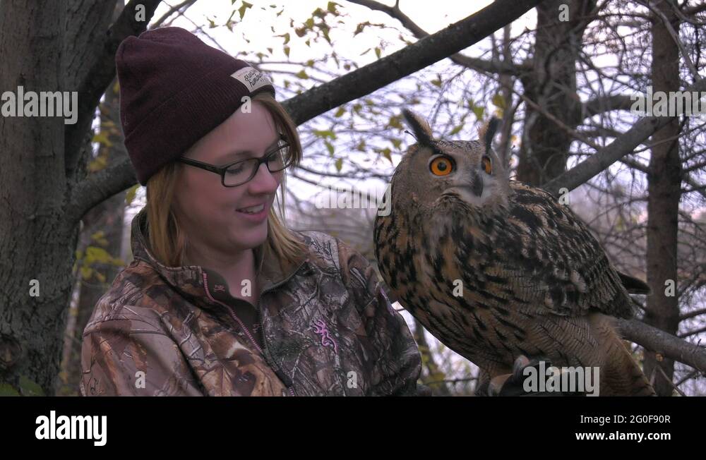Owl smile Stock Videos & Footage - HD and 4K Video Clips - Alamy