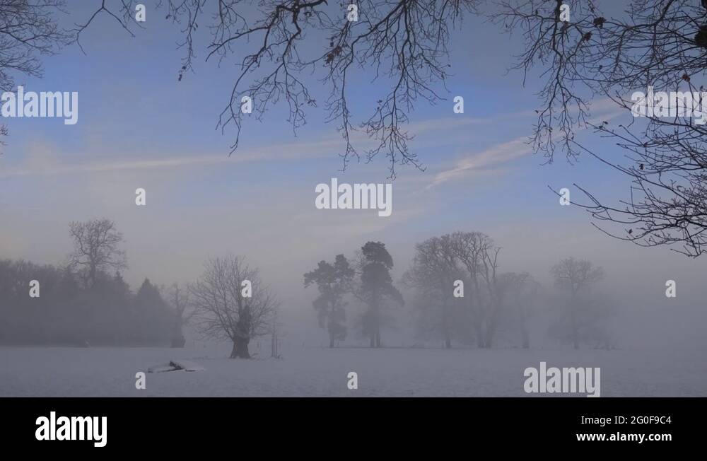 Mist frost snow sun Stock Videos & Footage - HD and 4K Video Clips - Alamy