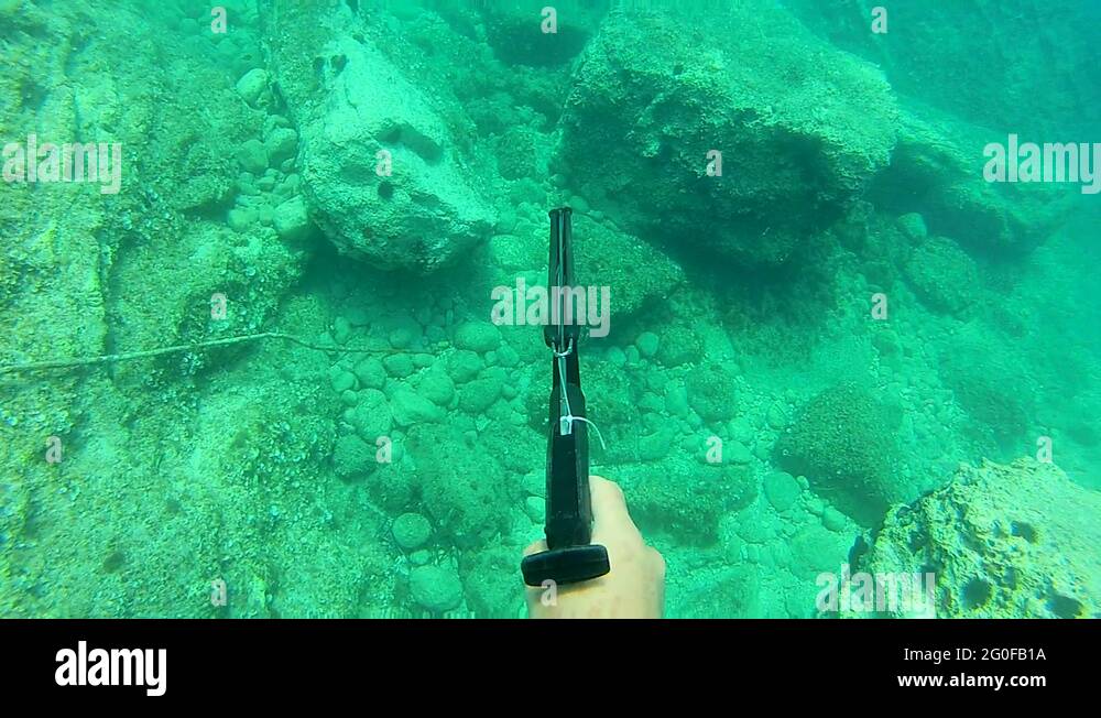 Man hunts fish underwater with a speargun in the sea. Speargun hunting ...