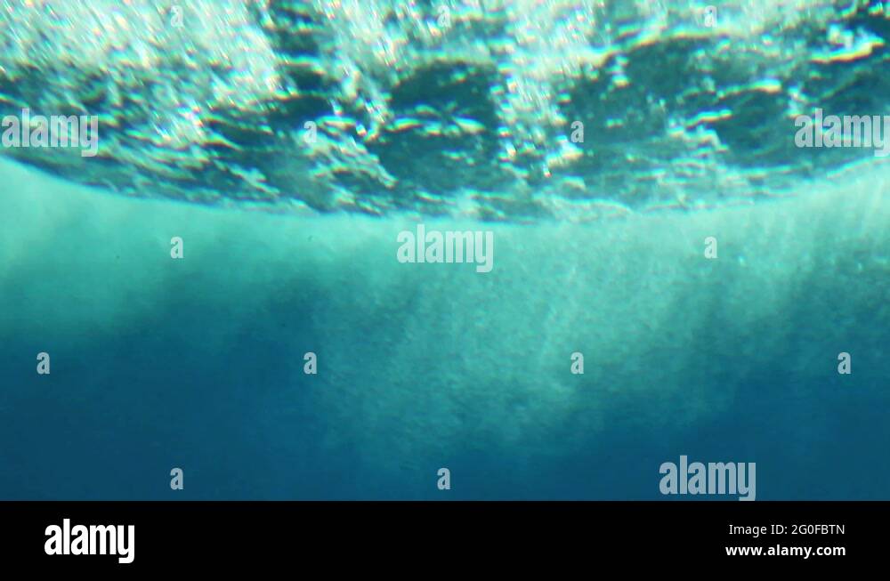 Water flora and fauna of the red sea Stock Videos & Footage - HD and 4K ...