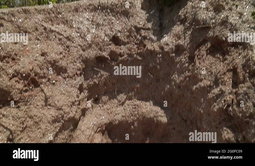 Ground mica Stock Videos & Footage - HD and 4K Video Clips - Alamy