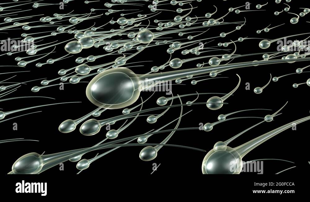 Sperm background Stock Videos & Footage - HD and 4K Video Clips - Alamy