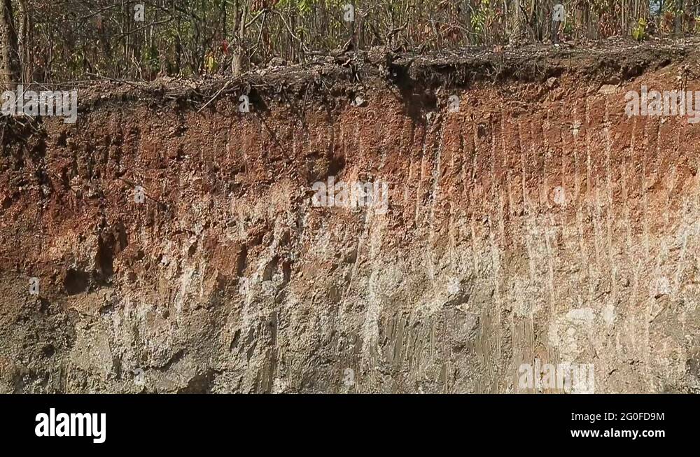 Deep hole in the ground in the jungle. Mine, extraction of mica. India ...