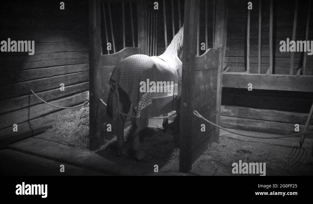 Stall old Stock Videos & Footage - HD and 4K Video Clips - Alamy