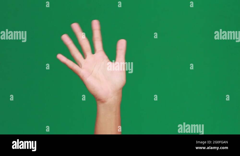 Bye icon Stock Videos & Footage - HD and 4K Video Clips - Alamy