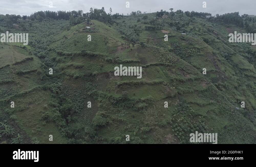 Farming africa colour Stock Videos & Footage - HD and 4K Video Clips ...