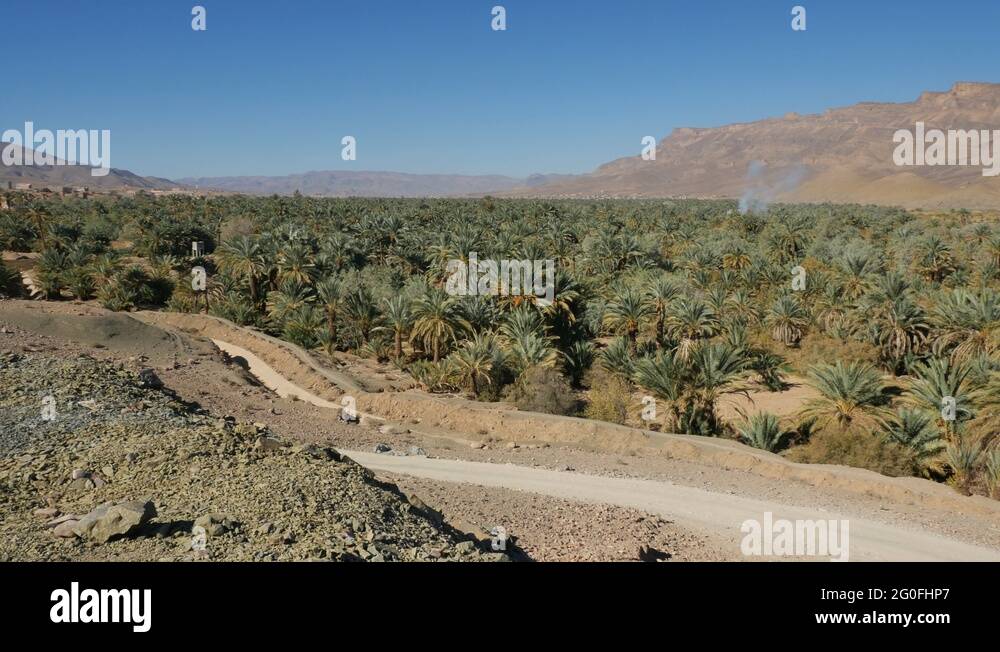 Desert oasis castle Stock Videos & Footage - HD and 4K Video Clips - Alamy