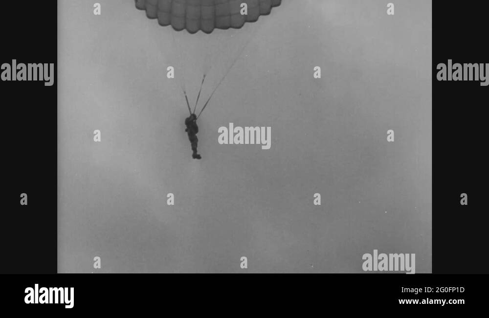 Parachuting dog Stock Videos & Footage - HD and 4K Video Clips - Alamy