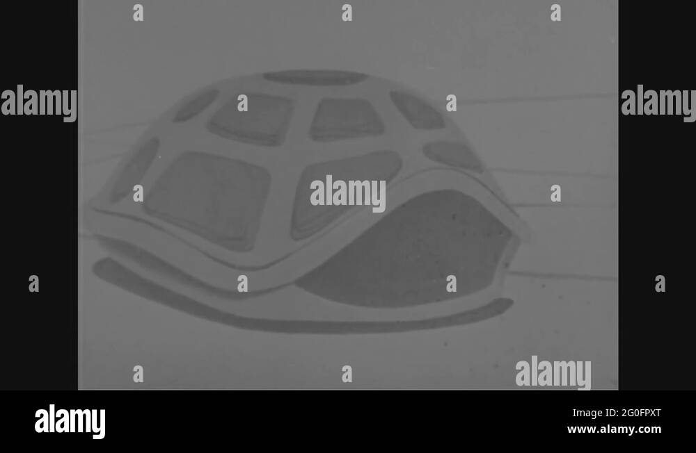 Hat shell Stock Videos & Footage - HD and 4K Video Clips - Alamy