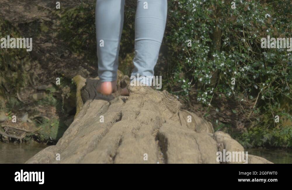 Hiking group tree trunk river Stock Videos & Footage - HD and 4K Video ...