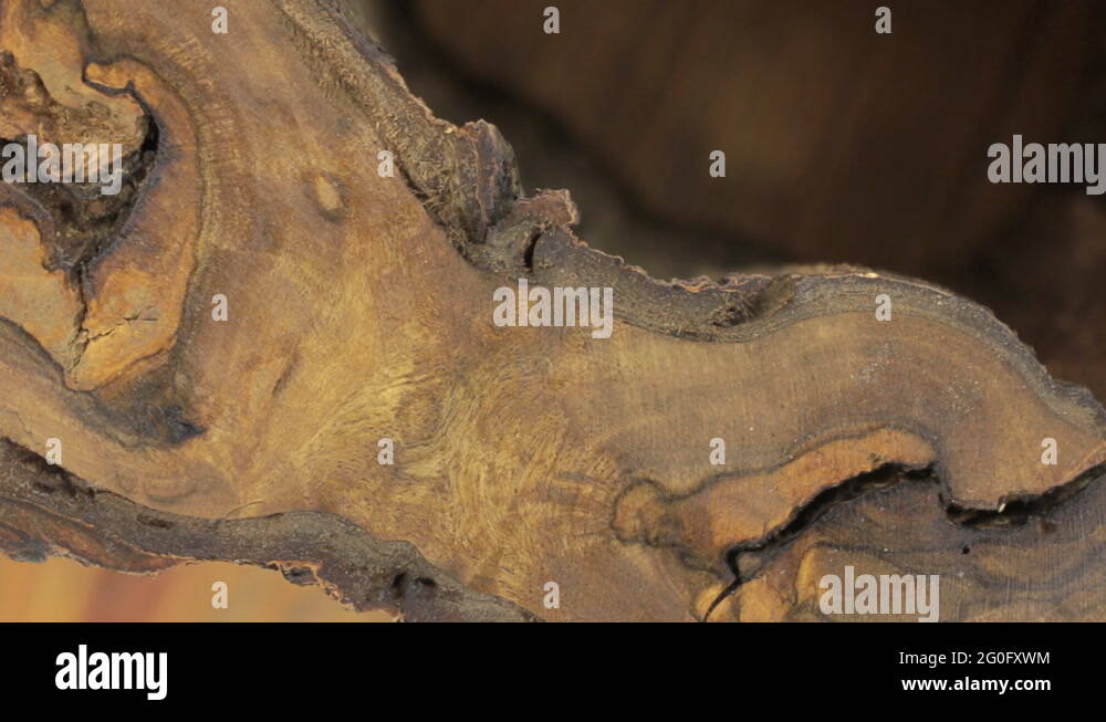 Walnut texture Stock Videos & Footage - HD and 4K Video Clips - Alamy