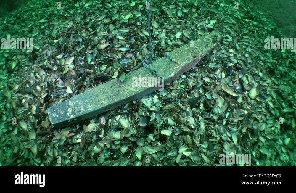 Ancient ship anchor Stock Videos & Footage - HD and 4K Video Clips - Alamy