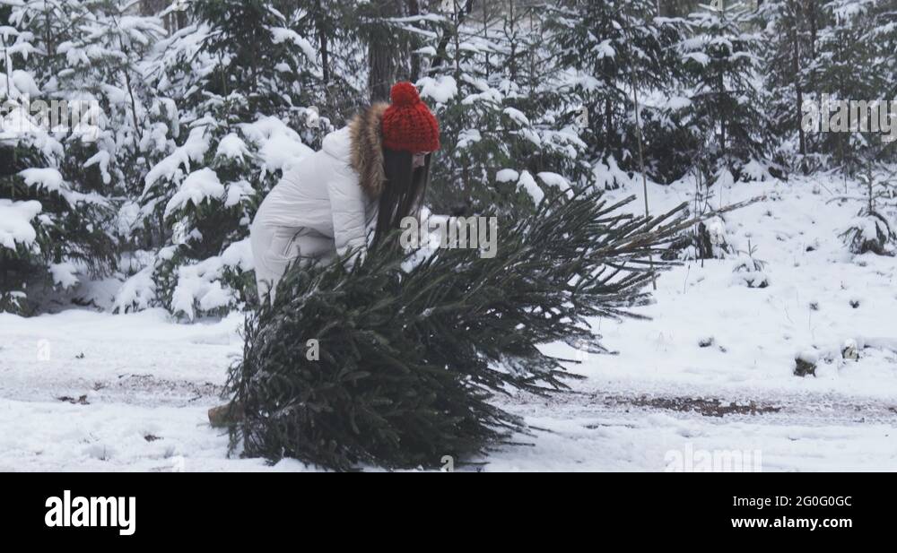 Girl lift carry Stock Videos & Footage - HD and 4K Video Clips - Alamy