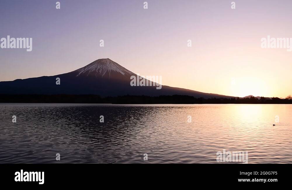Tanuki Stock Videos & Footage - HD and 4K Video Clips - Alamy