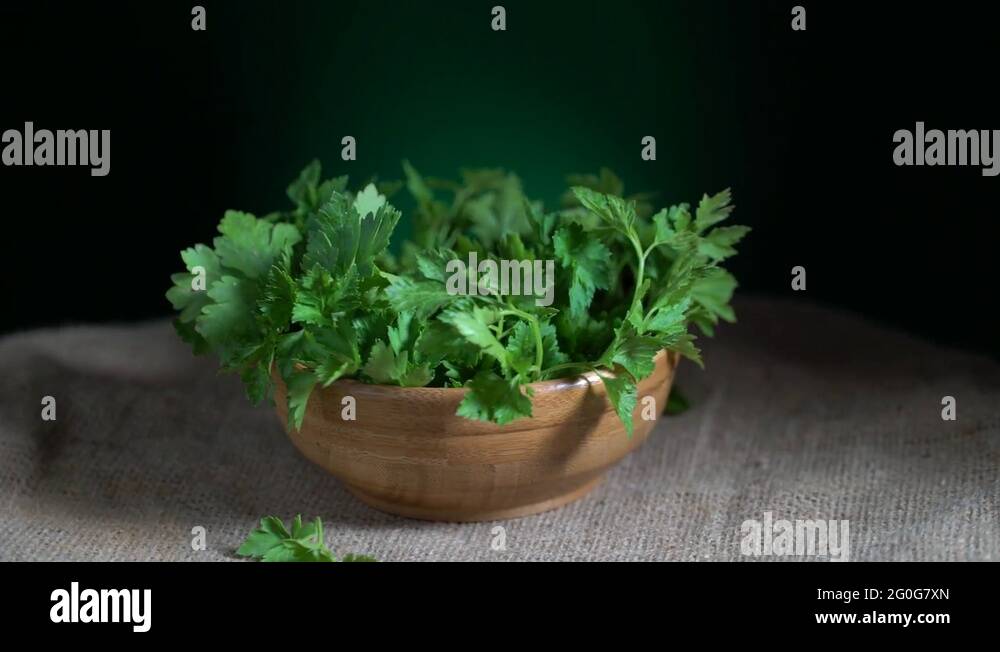 Parsley life Stock Videos & Footage - HD and 4K Video Clips - Alamy