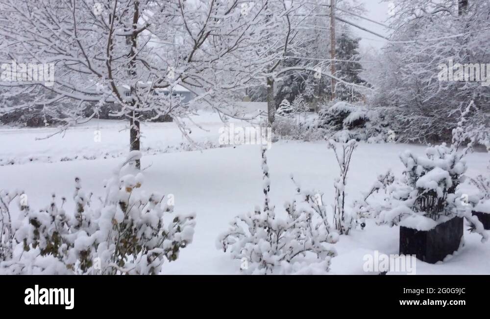 Snow scenes Stock Videos & Footage - HD and 4K Video Clips - Alamy