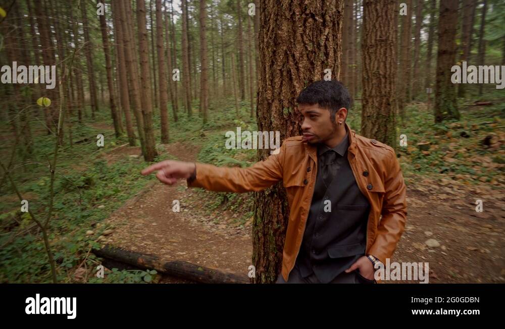 Man pointing in Stock Videos & Footage - HD and 4K Video Clips - Alamy