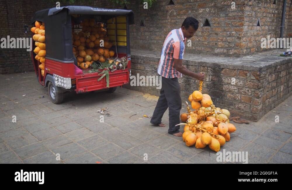 Local man unloading cargo of coconuts from his motor rickshaw in Kandy ...