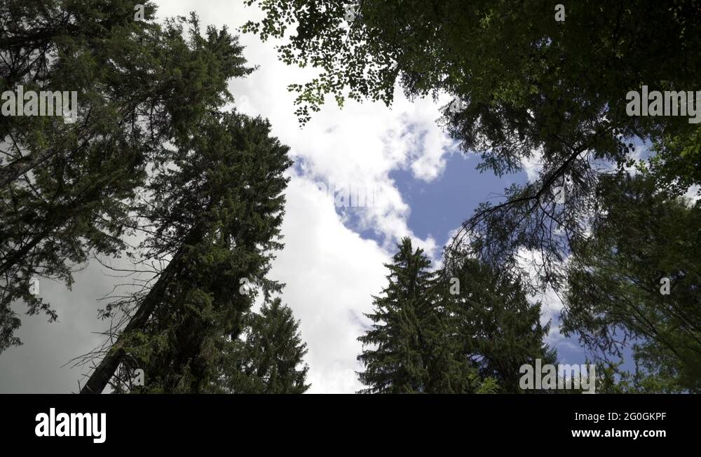 To look into the sky Stock Videos & Footage - HD and 4K Video Clips - Alamy