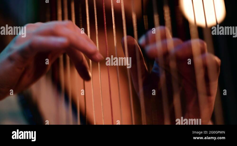 Beautiful arms Stock Videos & Footage - HD and 4K Video Clips - Alamy