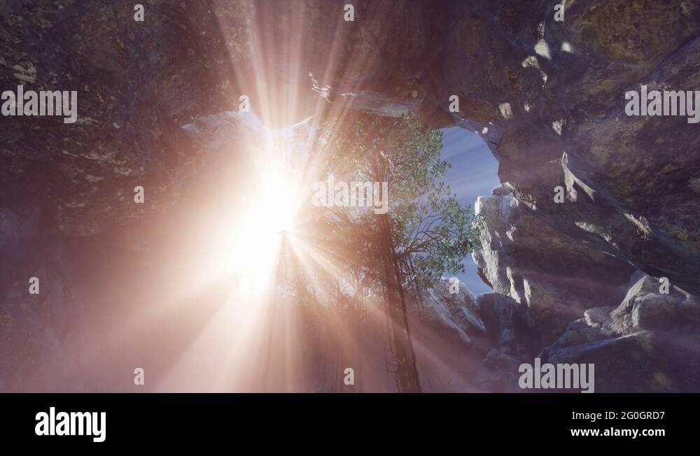 4k Jungle and rocks inside cave scene sliding Stock Video Footage - Alamy