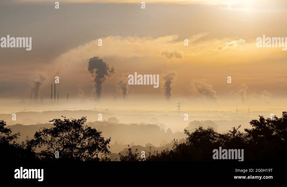 Destroying the environment Stock Videos & Footage - HD and 4K Video ...