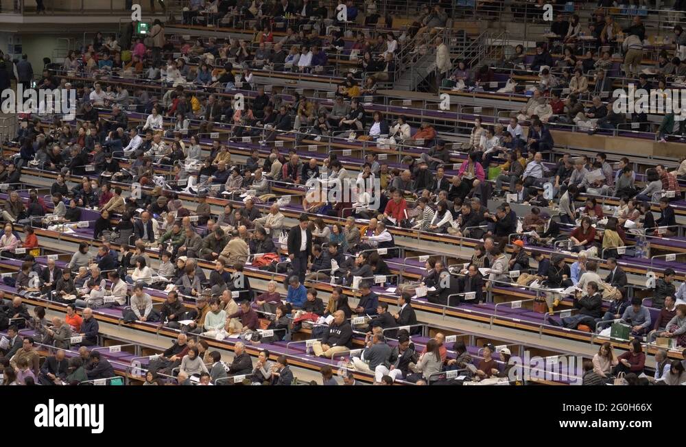 Crowd of People Watching a Sumo Wrestling Tournament in Japan Stock ...