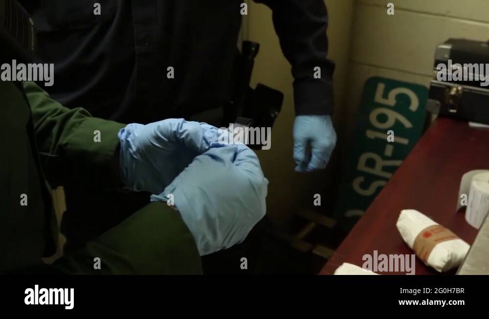 Customs officer Stock Videos & Footage - HD and 4K Video Clips - Alamy