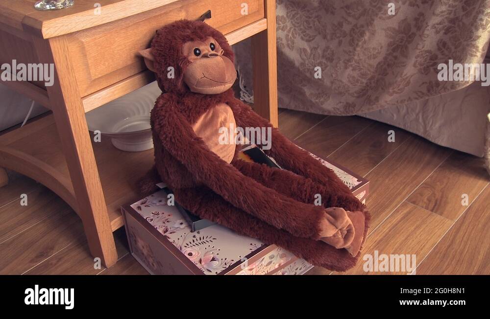 Monkey teddy Stock Videos & Footage - HD and 4K Video Clips - Alamy