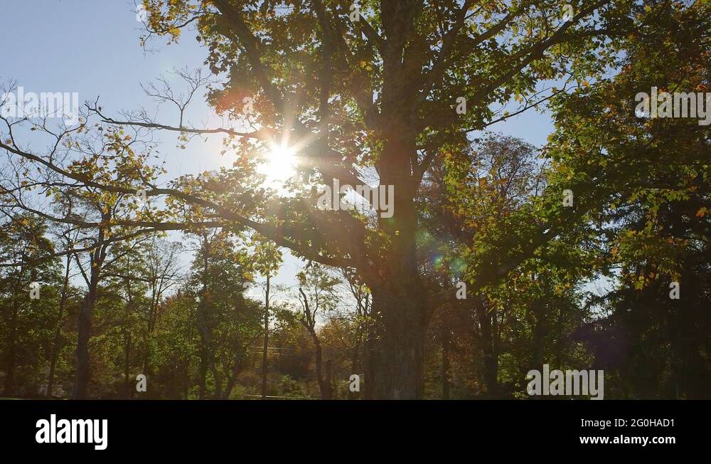 Sun through a lens Stock Videos & Footage - HD and 4K Video Clips - Alamy