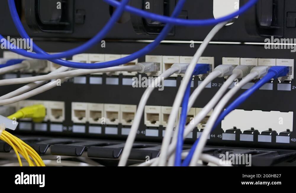 Network cables connected to switch in server room at the data centre ...