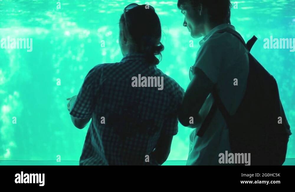 Man hugging fish Stock Videos & Footage - HD and 4K Video Clips - Alamy