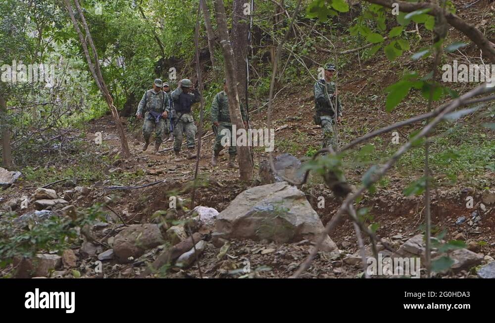 Jungle lab Stock Videos & Footage - HD and 4K Video Clips - Alamy