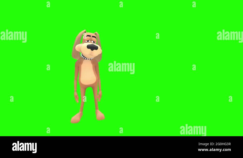 Animated wobbly dog character stumble backward Stock Video Footage - Alamy