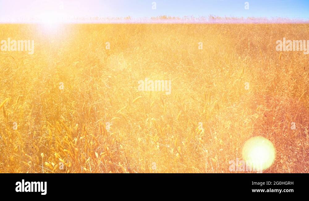 Lens flare landscape Stock Videos & Footage - HD and 4K Video Clips - Alamy