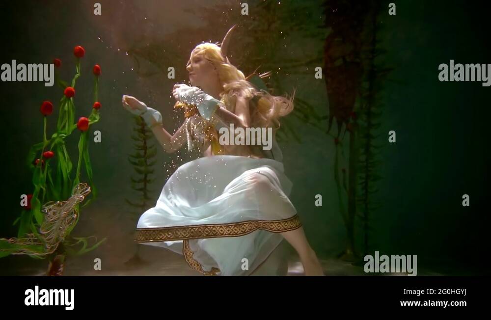 Elf swim Stock Videos & Footage - HD and 4K Video Clips - Alamy