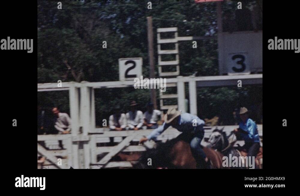 1940s: Man falls off of bucking bronco. Cowboy rides bucking bronco out ...