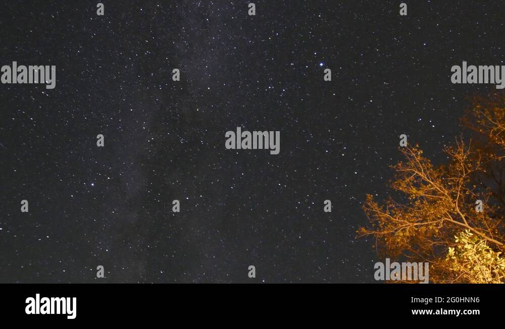 Moon fog tree Stock Videos & Footage - HD and 4K Video Clips - Alamy