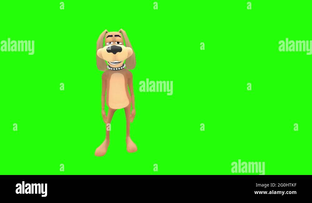 Animated dog character react feet Stock Video Footage - Alamy
