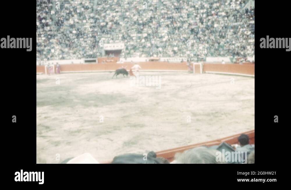 1940s: Bullfighter waves red cape at bull. Bull lays on the ground ...